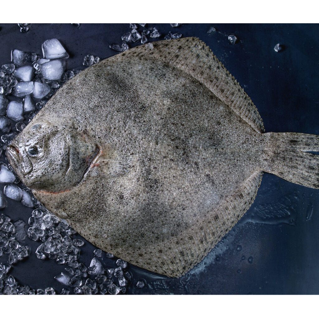 Seafood in season in Nov (2nd place Nagasaki) - EDO KAGURA
