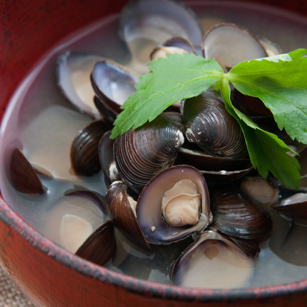 Delicious season for 300 seafood in Japan (English)