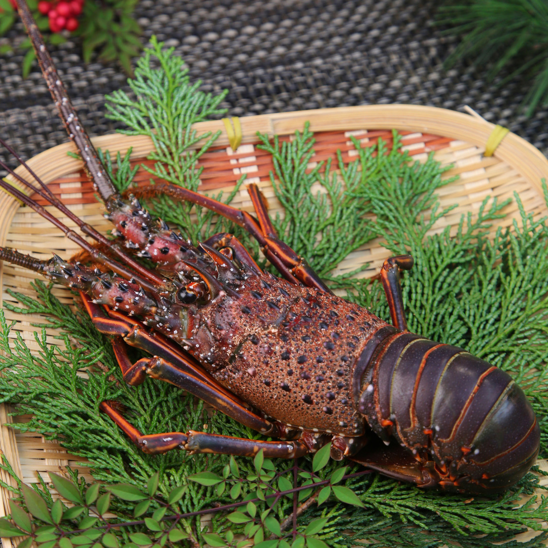 Japanese seafood at the best time and in the best places