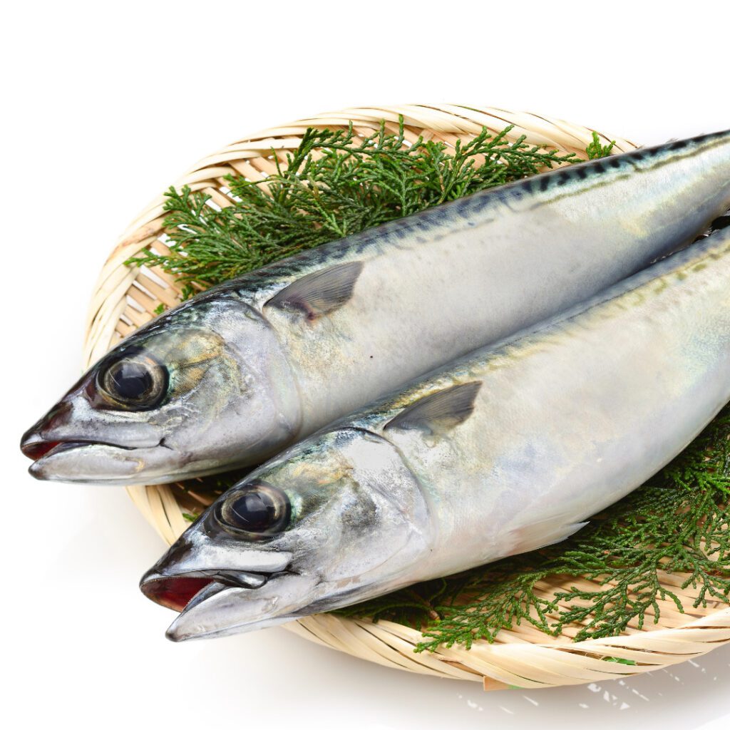 日本300種類的時令海鮮 一月 - 三月