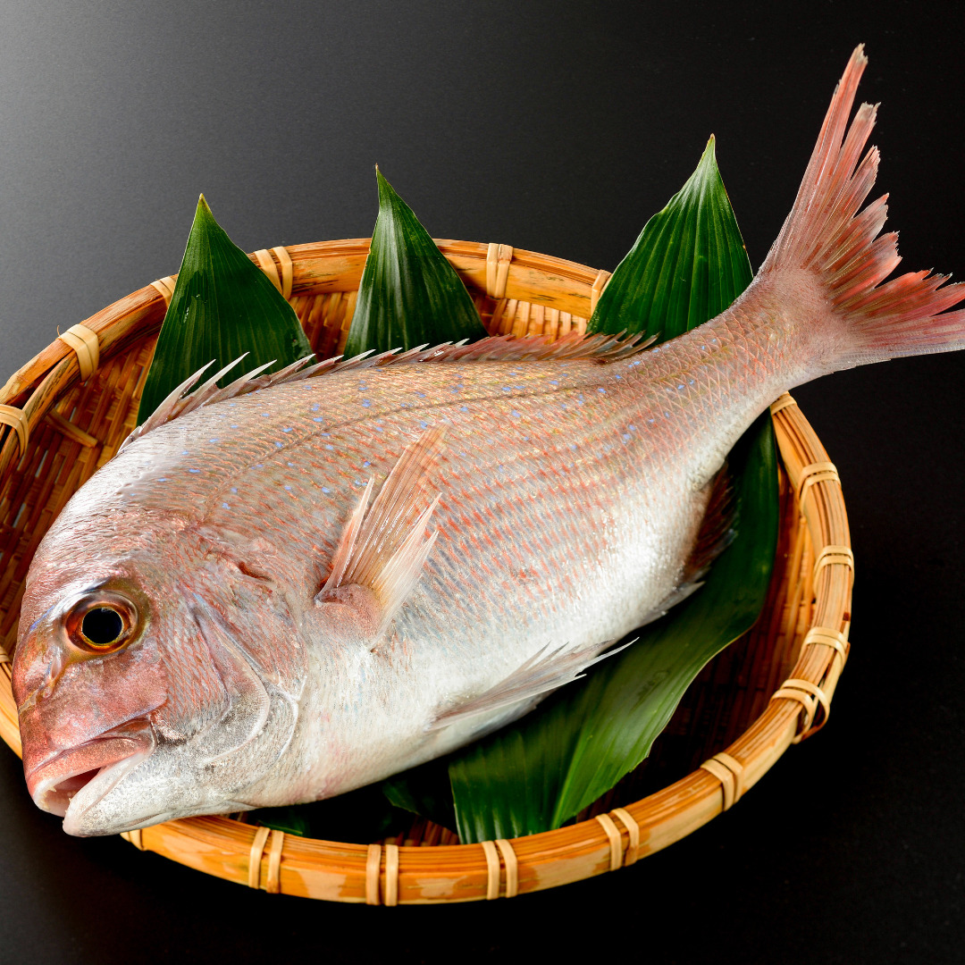 Japanese Seafood in Season (Jul-Sep, Traditional Chinese)