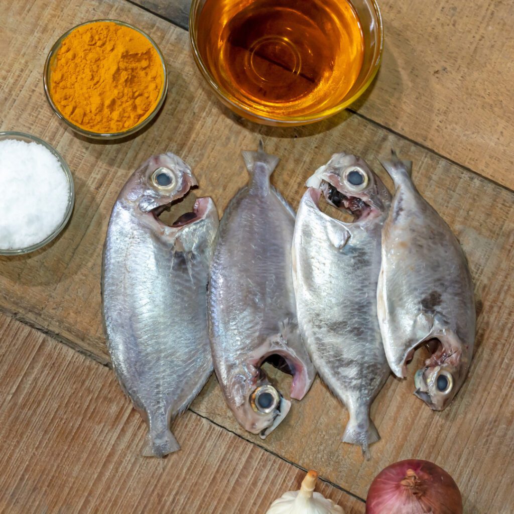 Japanese seafood at the best time and in the best places